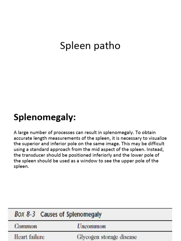 Spleen Pathology 2 | PDF | Spleen | Medical Ultrasound