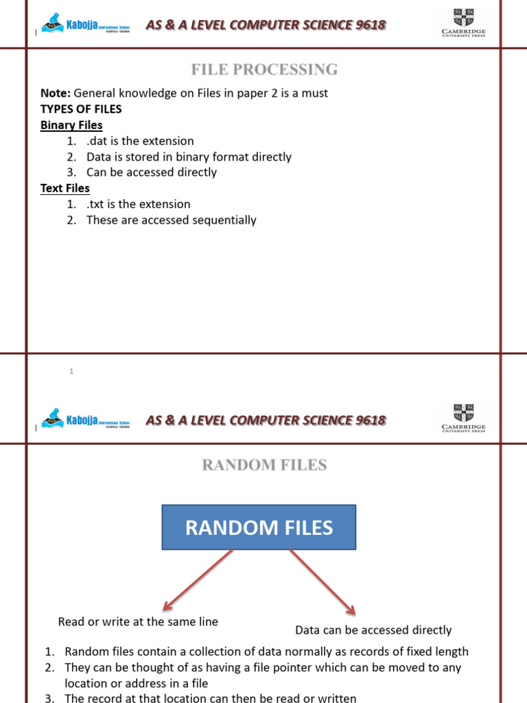 Files And Exception Handling Cs A Level Pdf Computer File Pointer Computer Programming