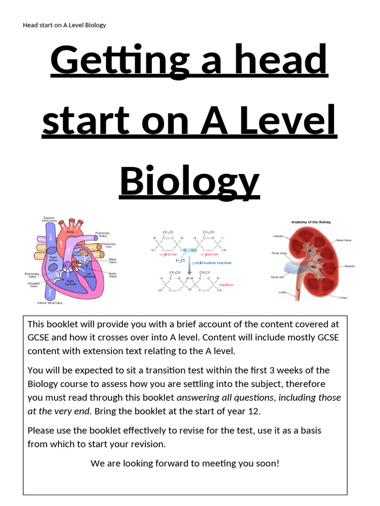 A Level Biology Transition Guide | PDF | Cellular Respiration | Heart