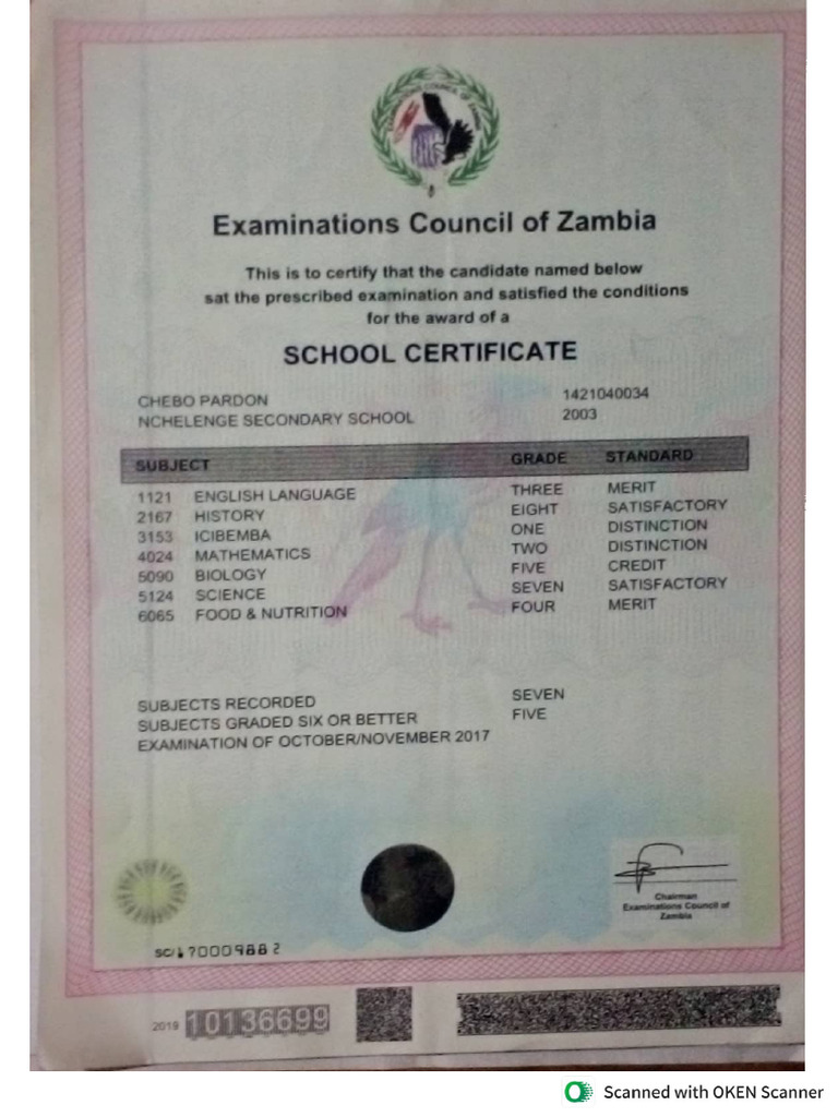 College Certificate 1 | PDF