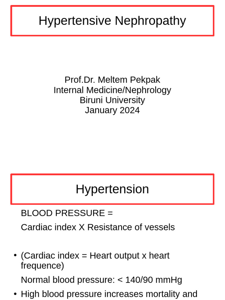 Ing - Hypertensive Nephropathy | PDF | Hypertension | Blood Pressure