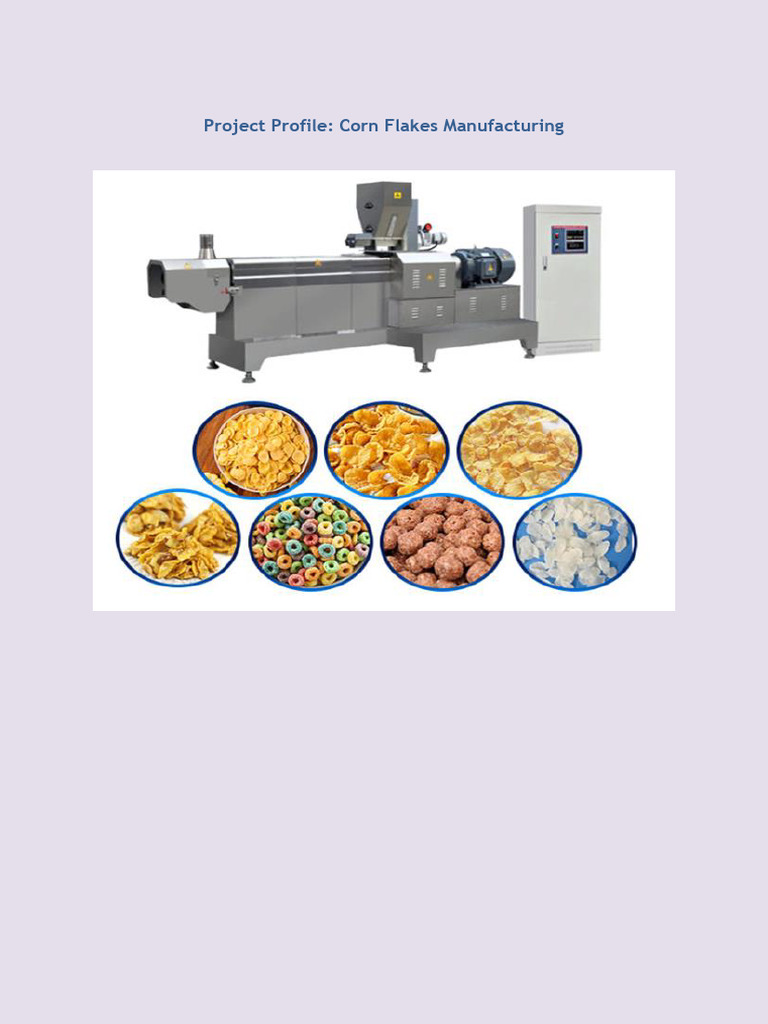 6 Corn Flakes Manufacturing | PDF | Foods