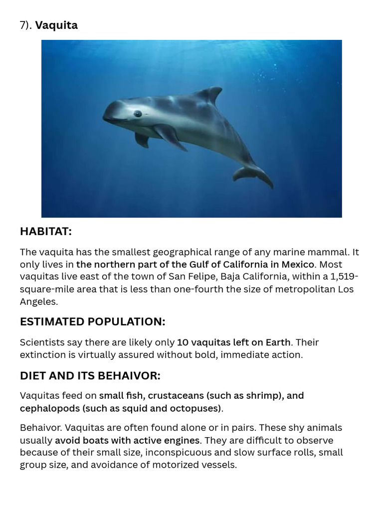 Vaquita: Habitat, Population, and Behavior | PDF
