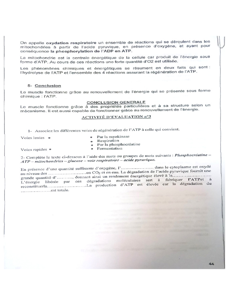 Suite Cours SVT | PDF