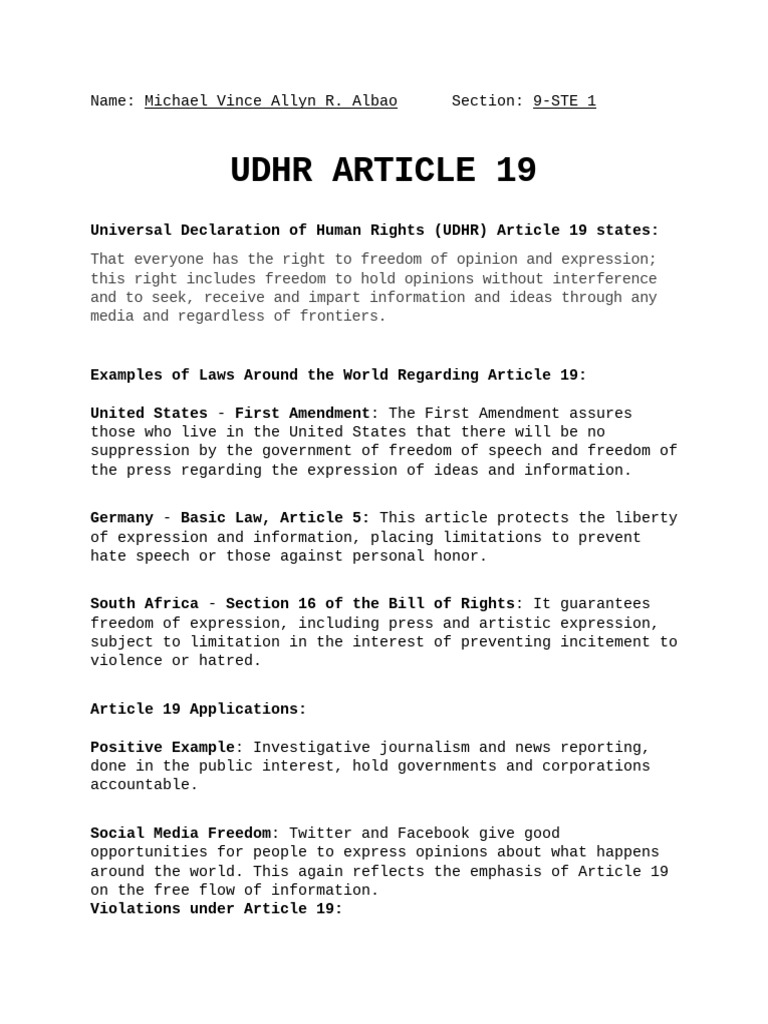 UDHR Article 19 | PDF
