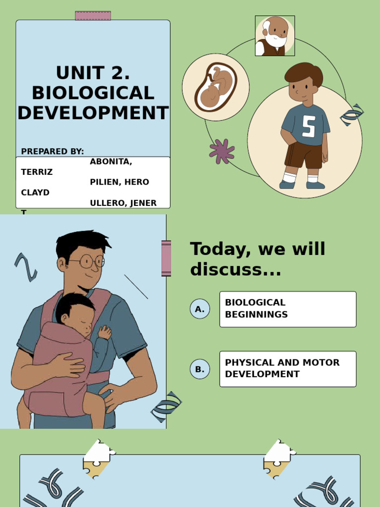 Biological Development Overview | PDF | Maternal Health | Prenatal ...