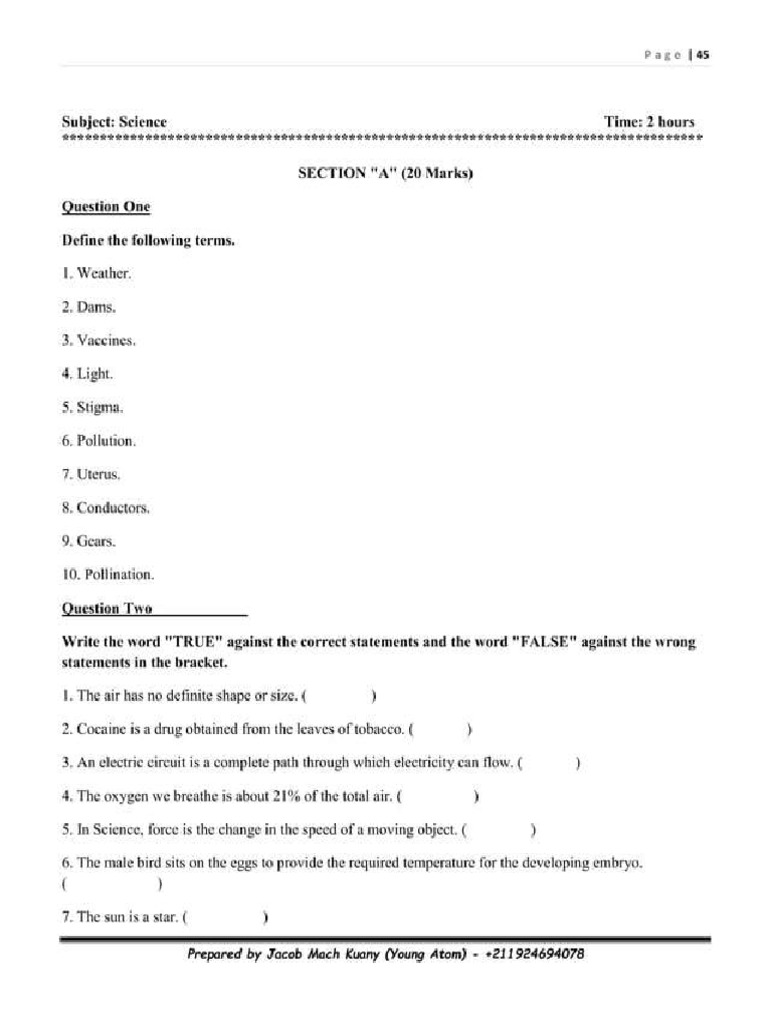 2022 Ple Science | PDF