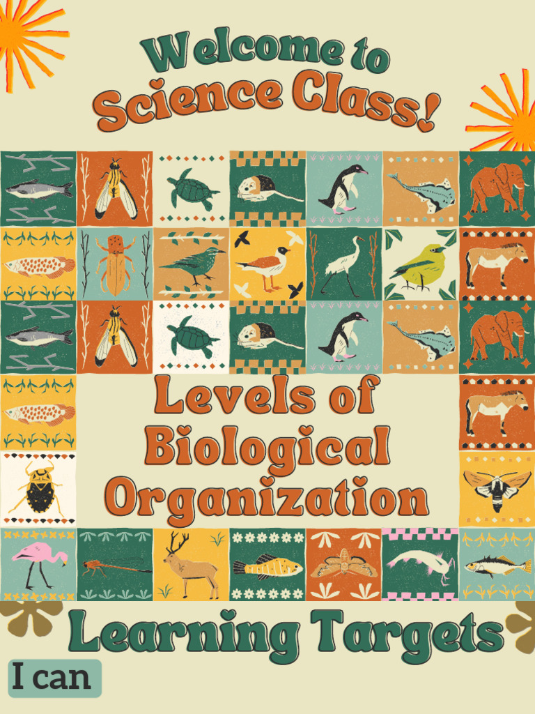 Levels of Biological Organization | PDF
