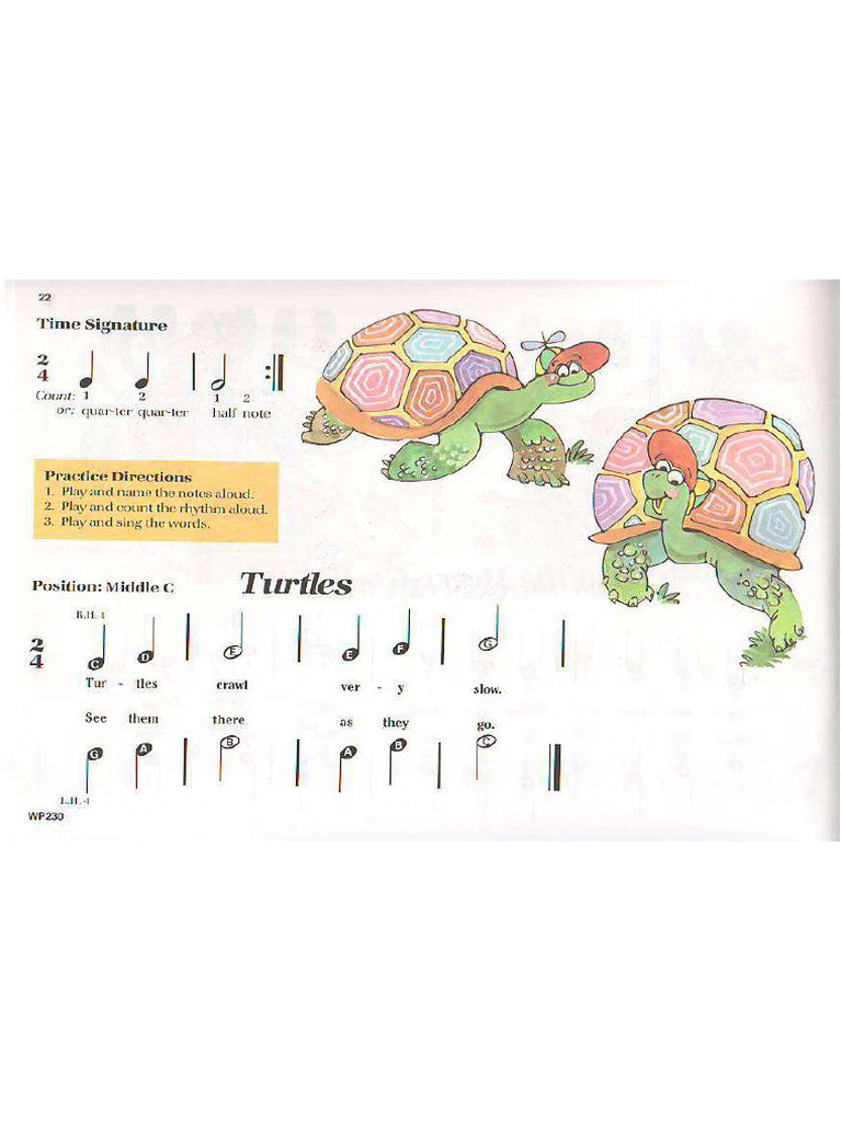 Turtles | PDF