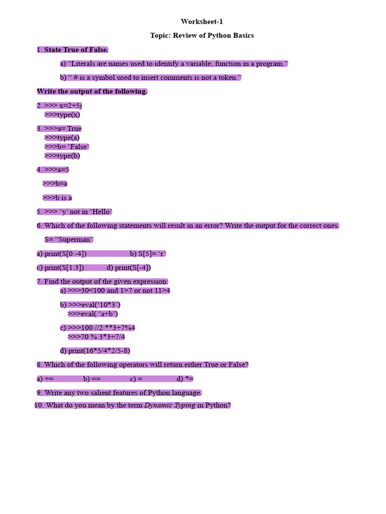 Python Basics Review Worksheet | PDF