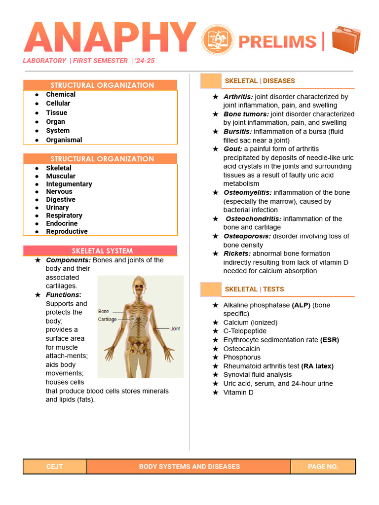 Body Systems and Diseases Anaphy | PDF | Kidney | Lymphatic System