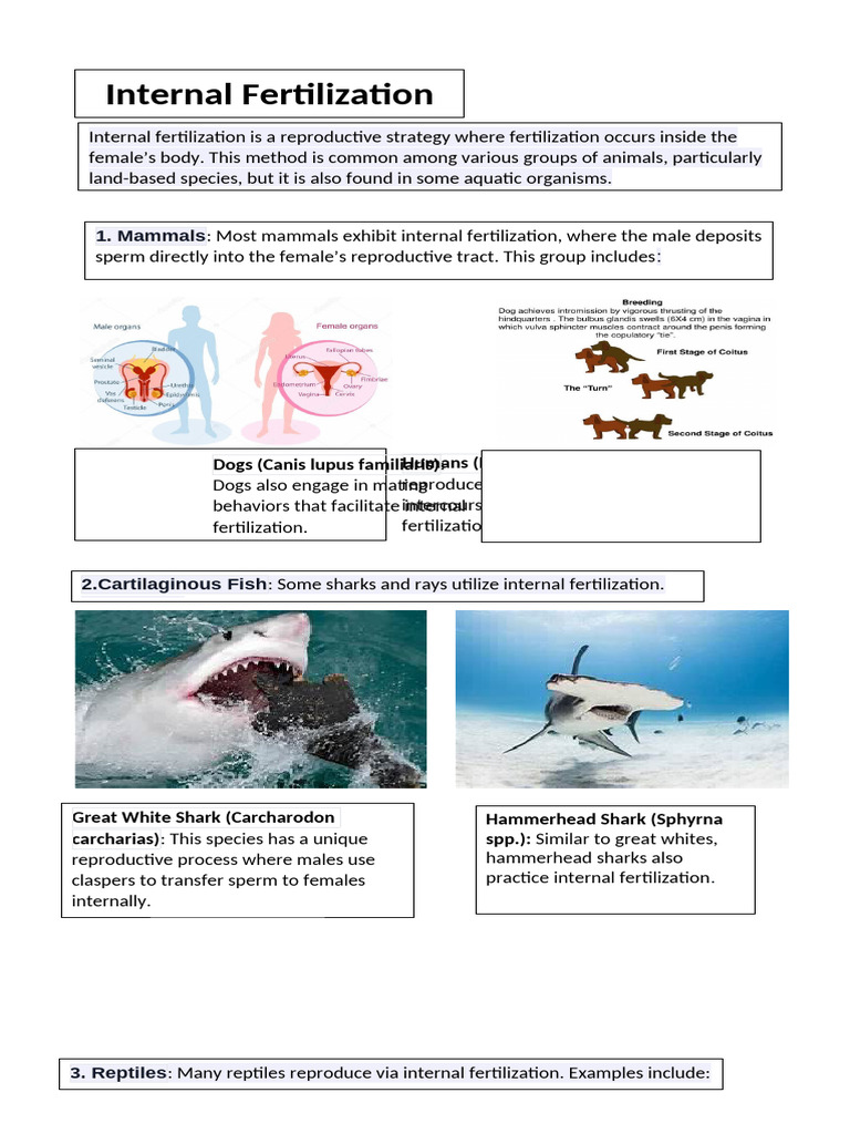 Science Output 2nd Grading | PDF | Fertilisation | Spawn (Biology)