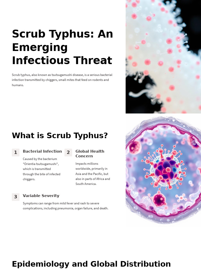 Scrub Typhus: An Emerging Infectious Threat | PDF | Infection | Medicine