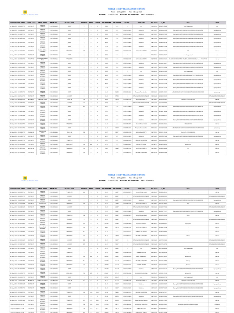 Momo Statement Report | PDF | Debit Card | Jargon