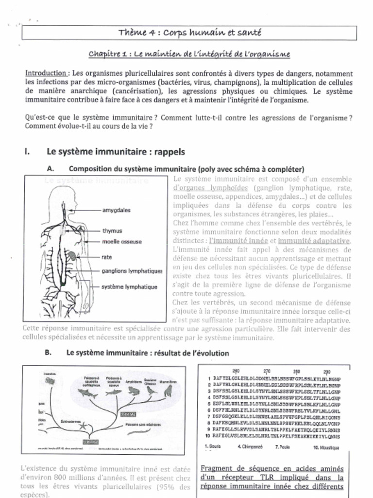 1ere SVT Cours 060121 | PDF