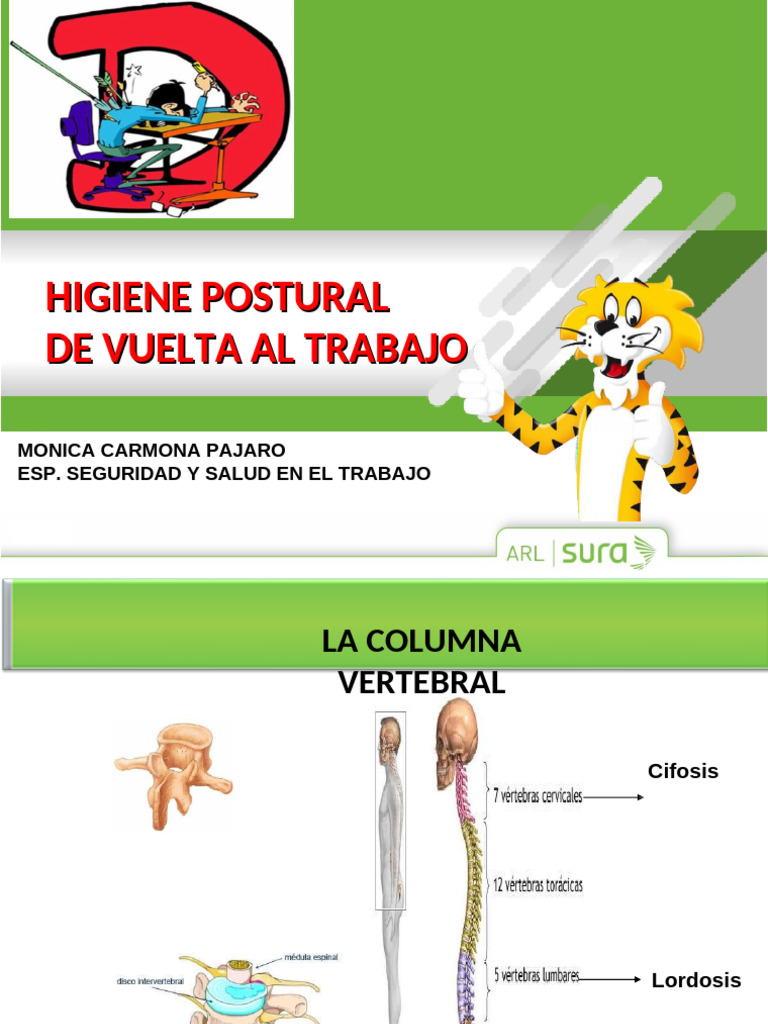 Presentacion Higiene Postural Administrativos | PDF | La columna vertebral | Dolor lumbar
