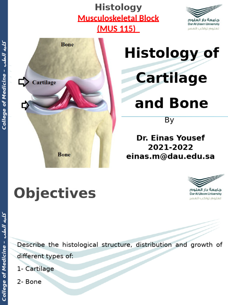 Histology of Cartilage and Bone | PDF | Bone | Osteoblast