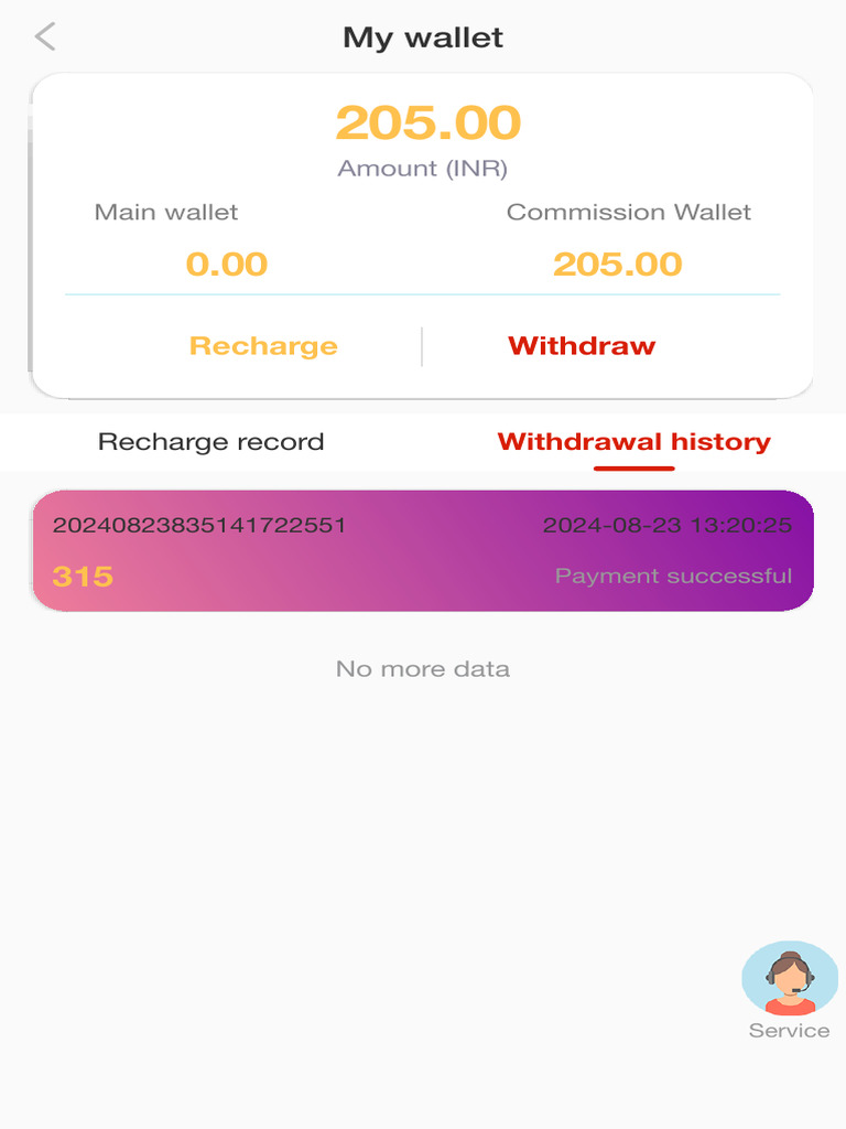 Wallet Transaction Summary | PDF