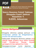 Dambii Ittin Bulmaata Waldaa | PDF