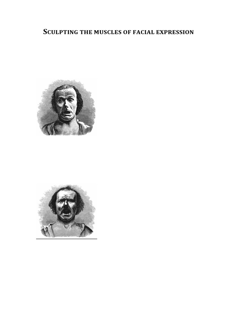Sculpting The Muscles of Facial Expression Onto The Skull | PDF | Smile ...