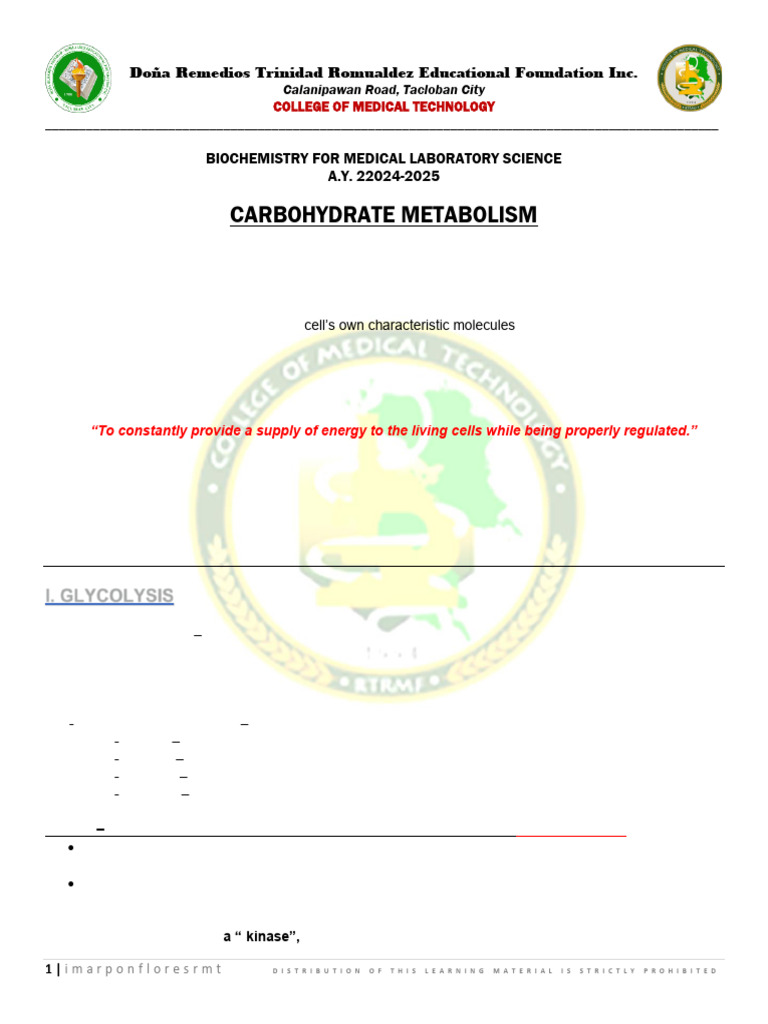 Carbohydrate Metabolism Handout | PDF | Glycolysis | Diet & Nutrition