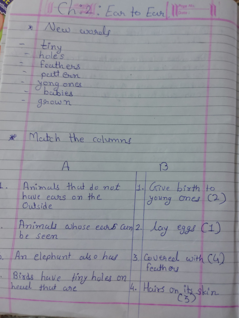 STD 3 Evs CH 2 Notebook | PDF