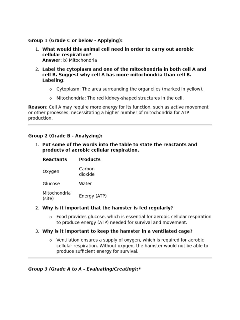 Group 1 Answer | PDF | Respiratory System | Cellular Respiration