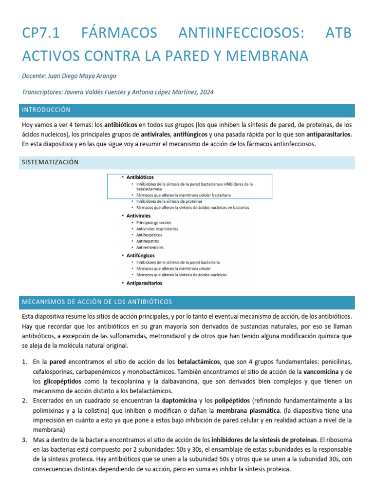 CP7.1 Fármacos Antiinfecciosos ATB Activos Contra La Pared y La Membrana | PDF | Beta lactamasa ...