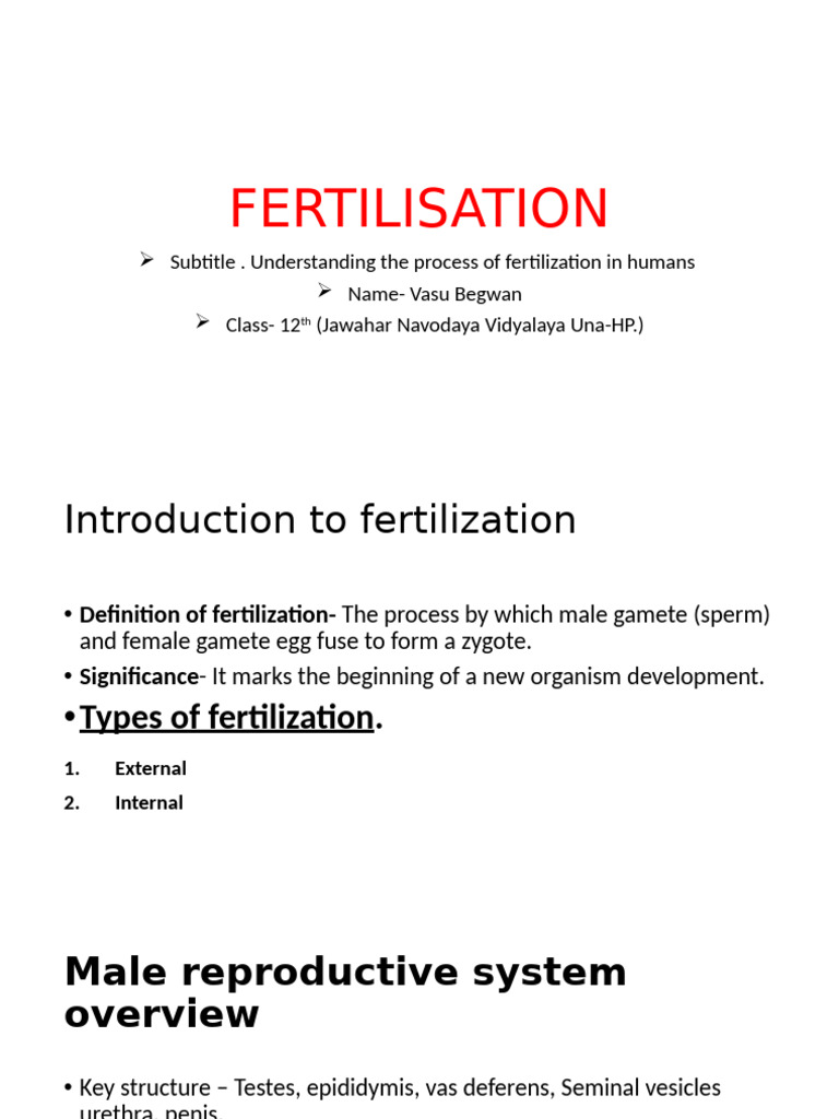 Project File On The Topic of Fertilization Presented by Vasu Begwan ...