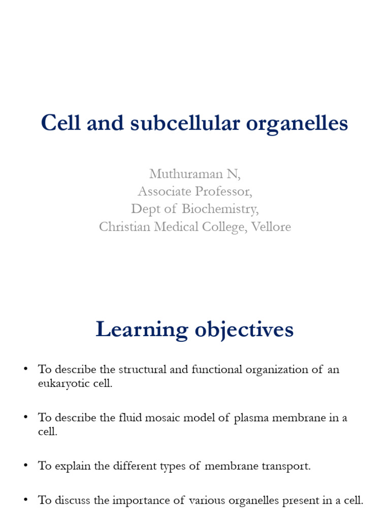 Cell and Subcellular Organelles | PDF | Endoplasmic Reticulum | Cell ...
