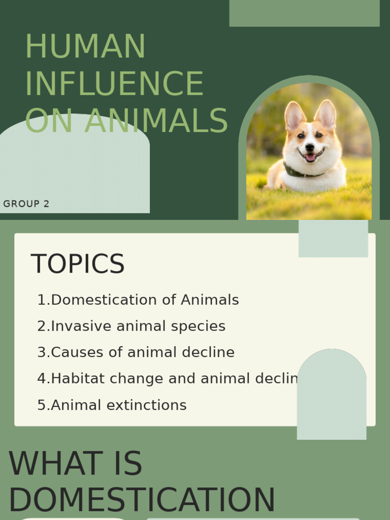 Human Impact on Animal Populations | PDF | Habitat Destruction | Extinction