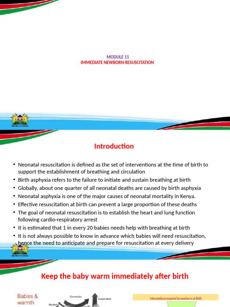 Newborn Resuscitation Guidelines | PDF | Cardiopulmonary Resuscitation ...