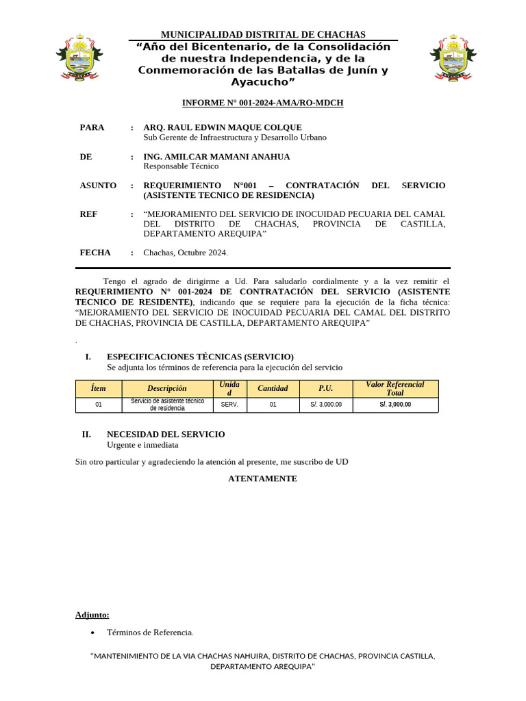Informe N°001 - Servicio de Asistente Tecnico | PDF | Gobierno