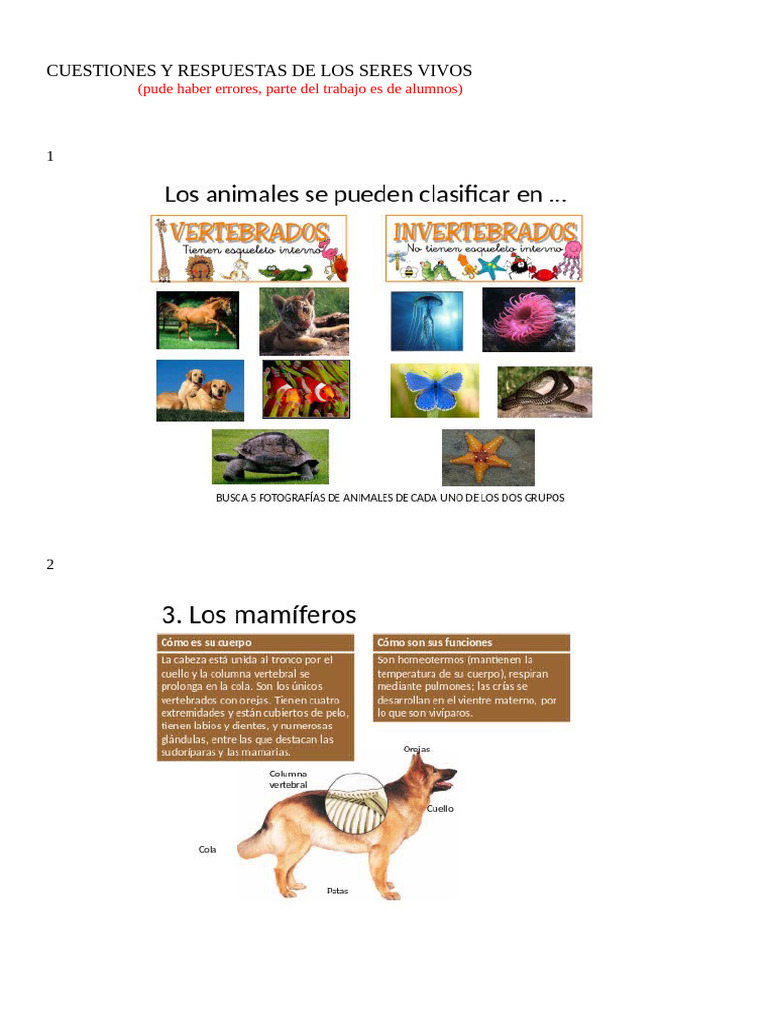 3 Cuestiones y Respuestas Seres Vivos | PDF | Anfibio | Reptil