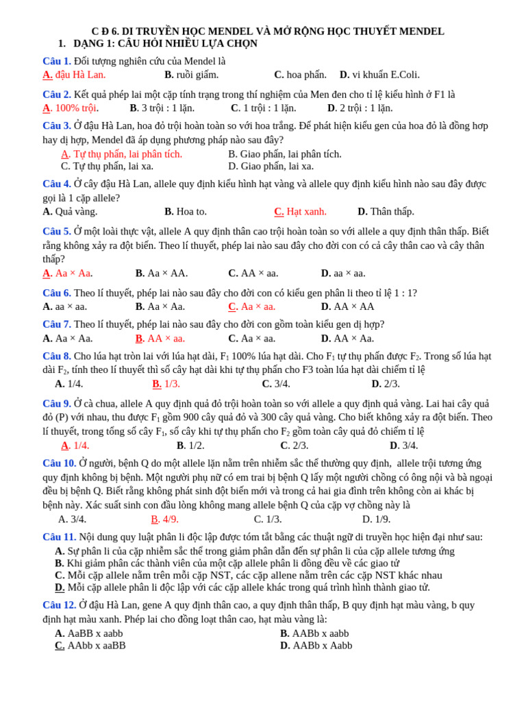 Bai 6 | PDF