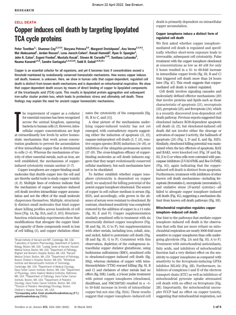 Copper-Induced Cell Death Mechanism | PDF | Apoptosis | Biochemistry