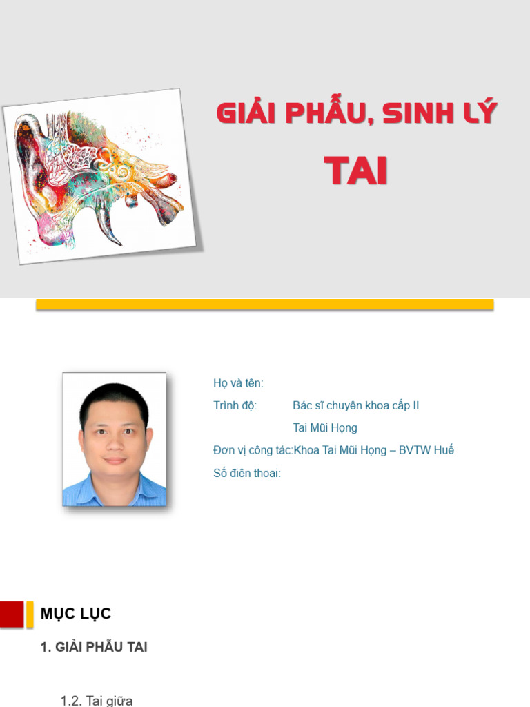 1. Giải phẫu sinh lý tai | PDF