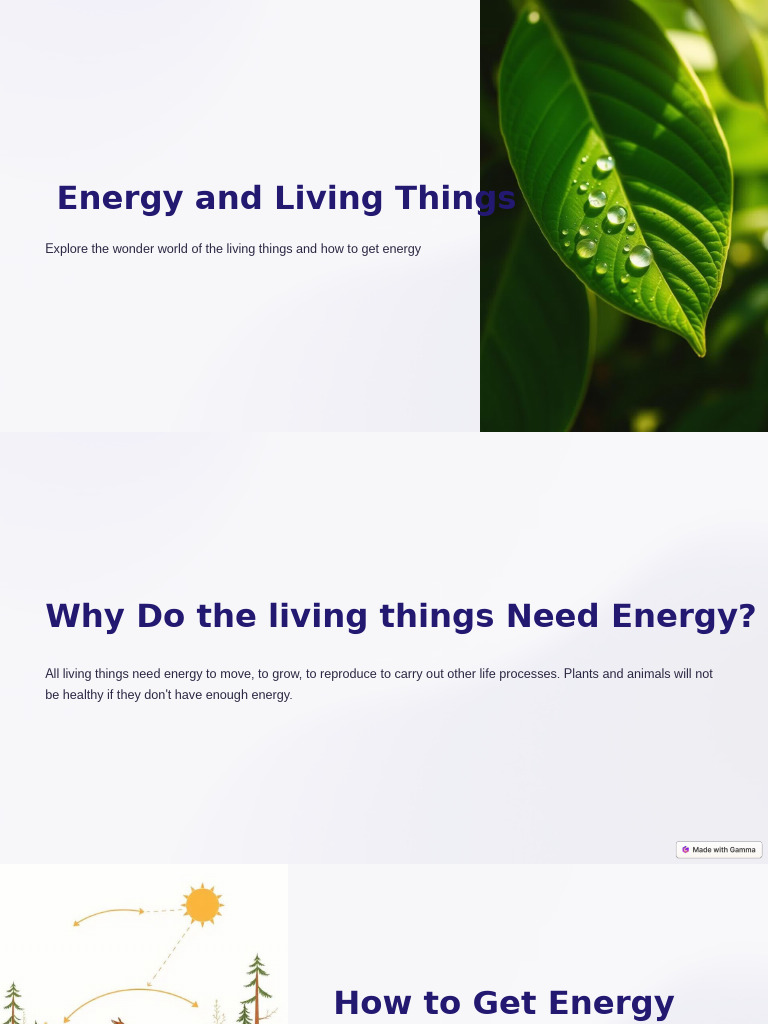 Energy and Living Things | PDF