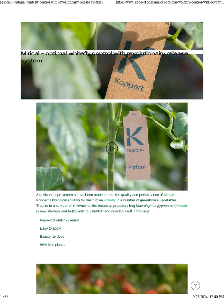 Mirical - Optimal Whitefly Control With Revolutionairy Release System ...