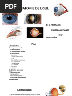 Anatomie, Physiologie Et Semiologie Du Vitre | PDF | Œil humain