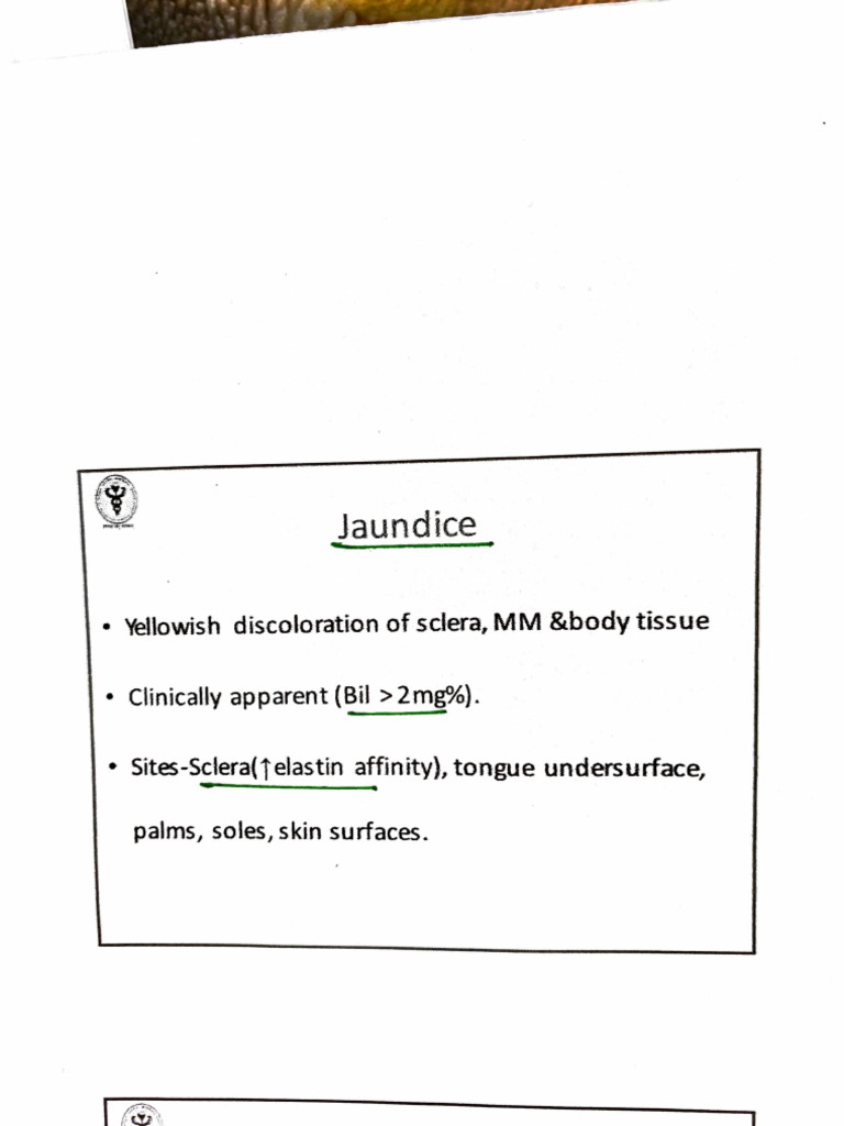 Jaundice | PDF