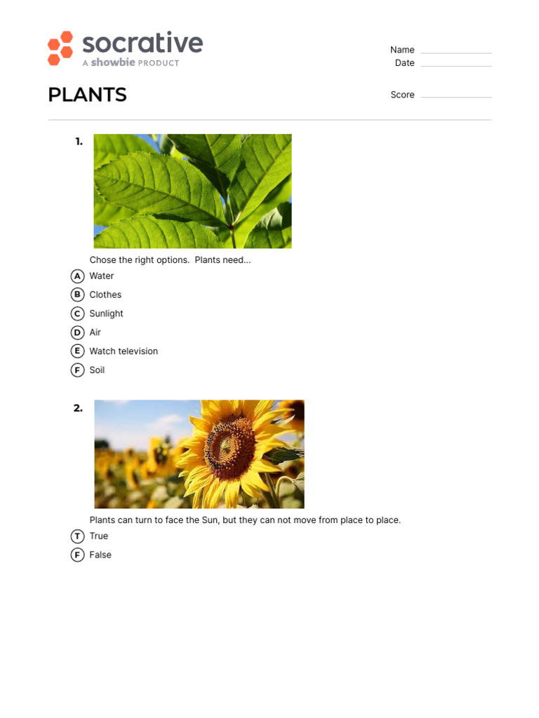 Quiz PLANTS | PDF