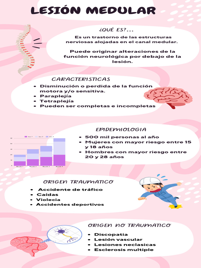 Infografía Lesión Medular | PDF | Lesión de la médula espinal | Médula ...
