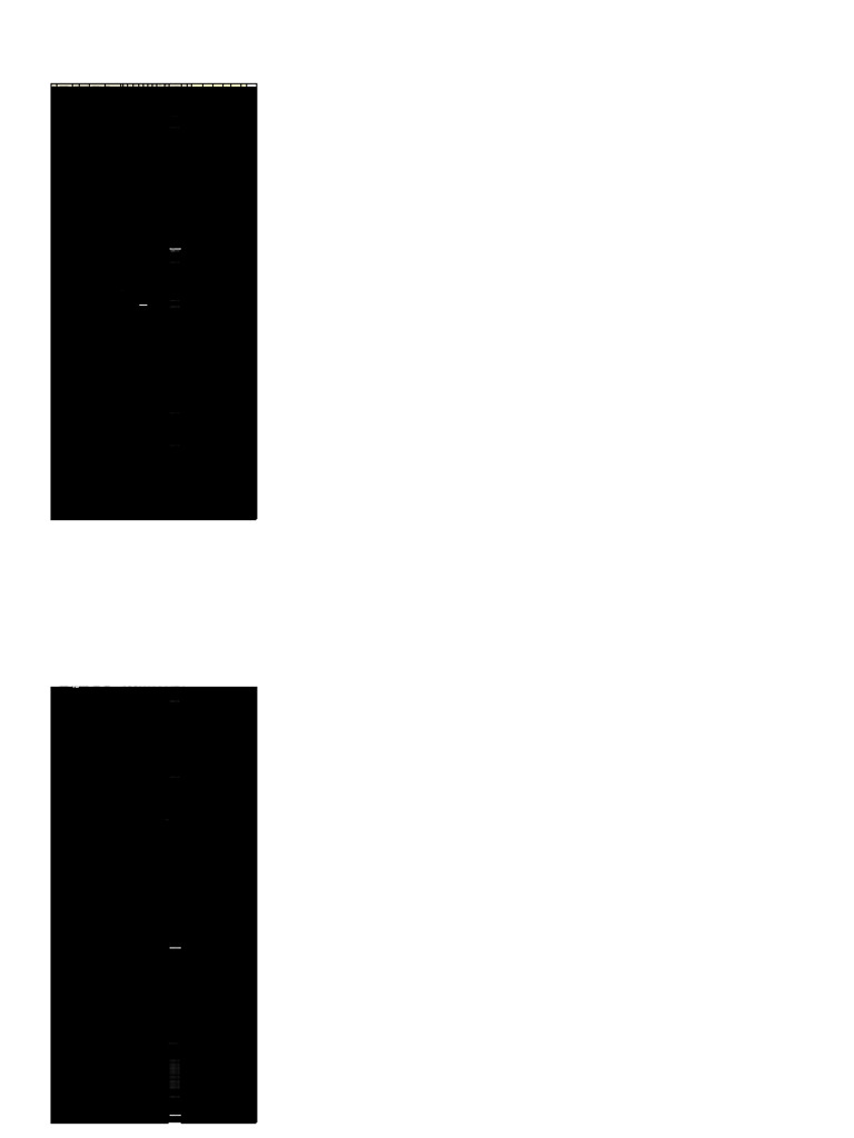 Rekap Monitoring PT. MI Sultra PO 2024 | PDF