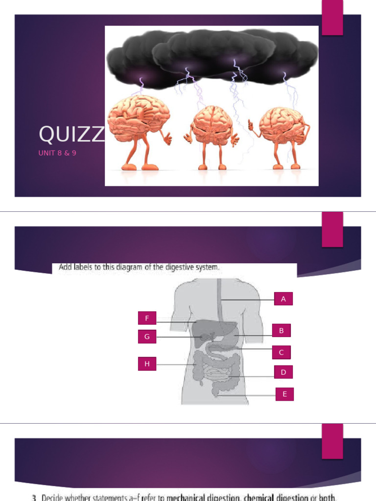 Quizz pptx2 | PDF