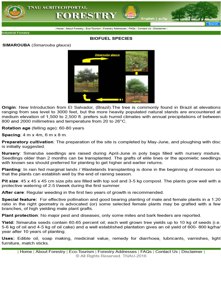 Forestry Industrial Forestry 2 | PDF | Plants | Botany