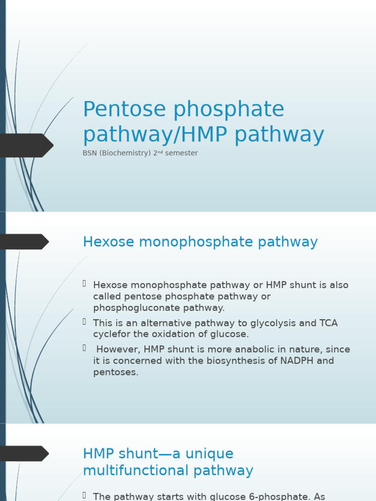 HMP Pathway | PDF | Metabolic Pathway | Nicotinamide Adenine Dinucleotide Phosphate