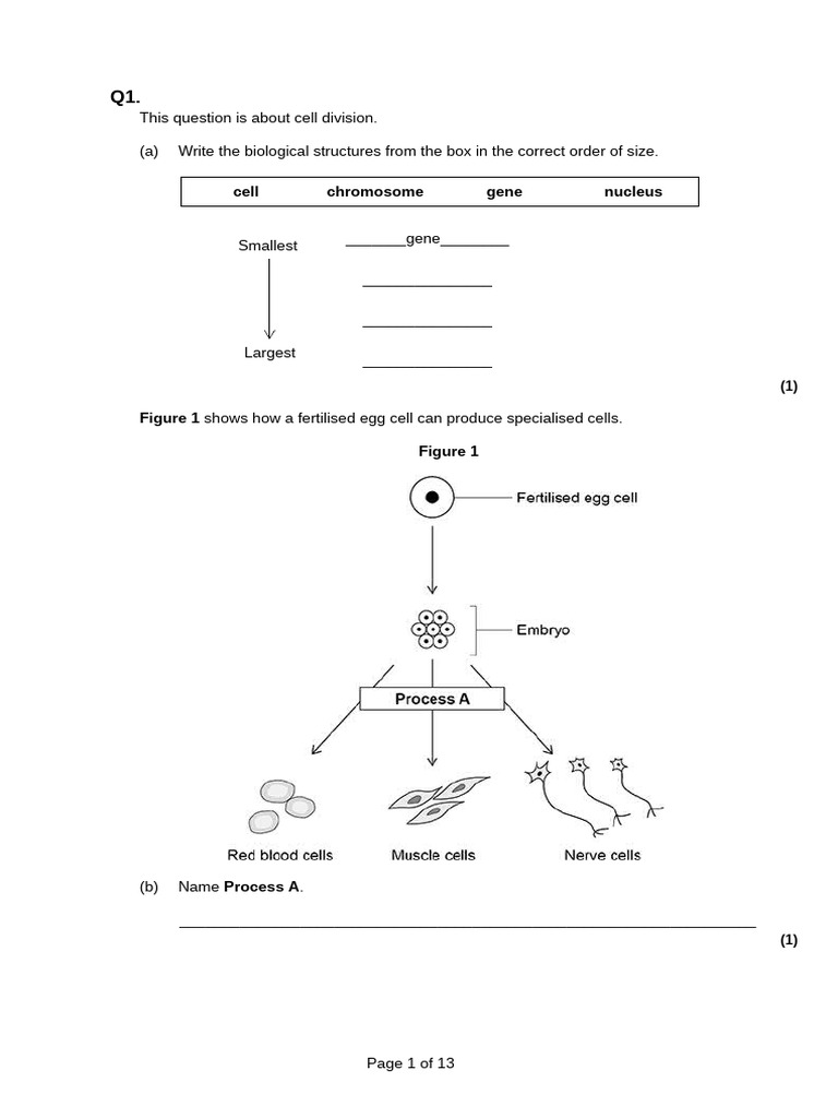 Paper 1 Revision - All - Student | PDF | Atoms | Ionizing Radiation