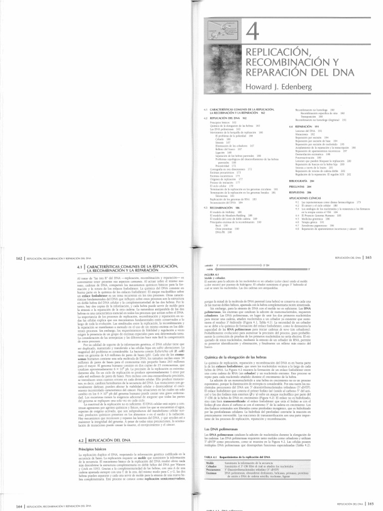 Replicación Recombinación Reparación Del ADN Devlin | PDF