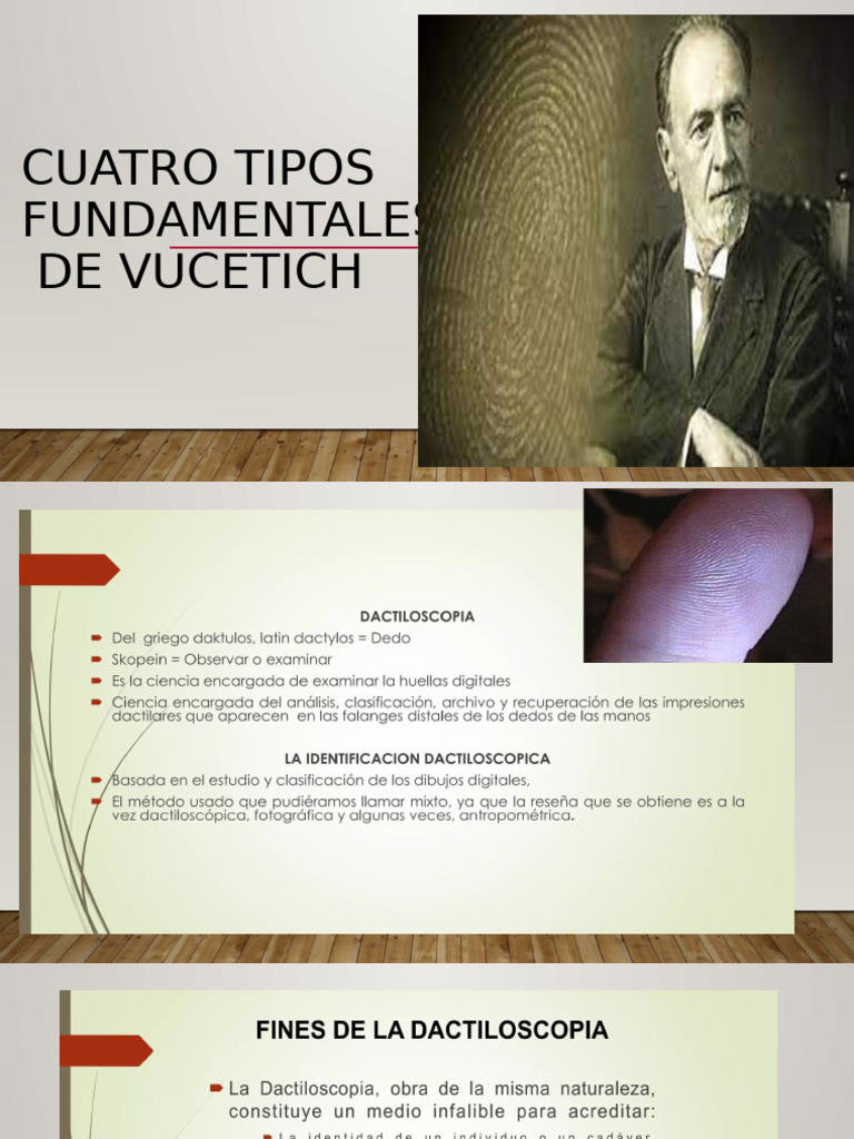7 Clase Cuatro-Tipos-Fundamentales Vucetich | PDF